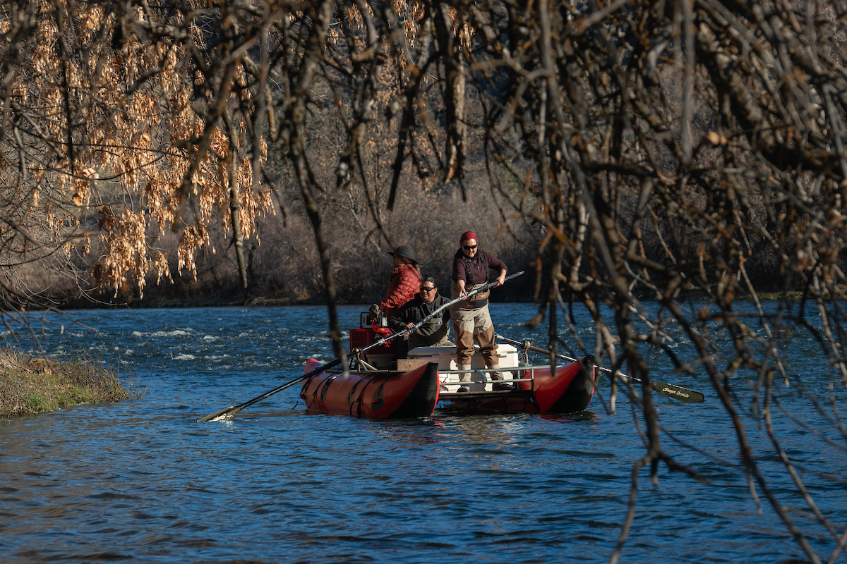 The Salmon Diaries: Life Before and After Klamath Dam Removal | College ...