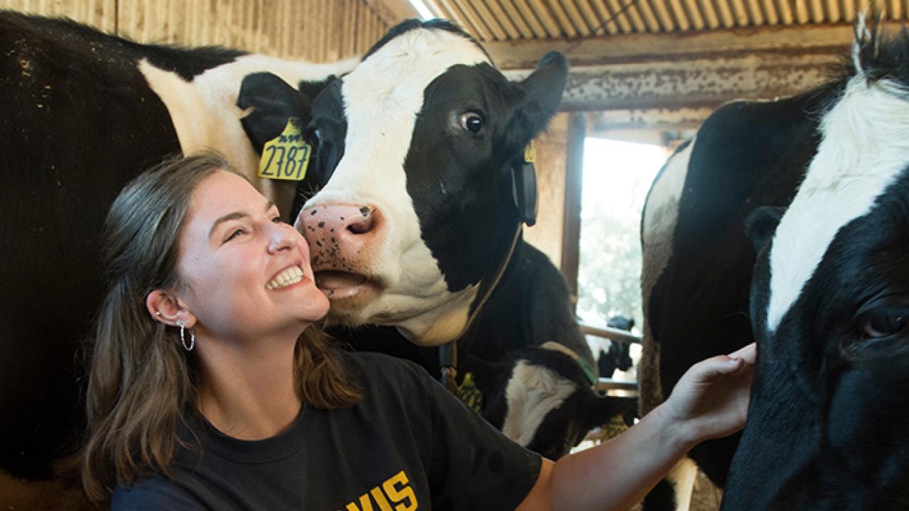 College of Agricultural and Environmental Sciences - Advising