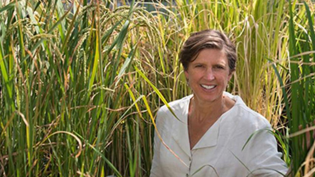 $1.7 Million for Climate-Resilient Agricultural Research | College of ...