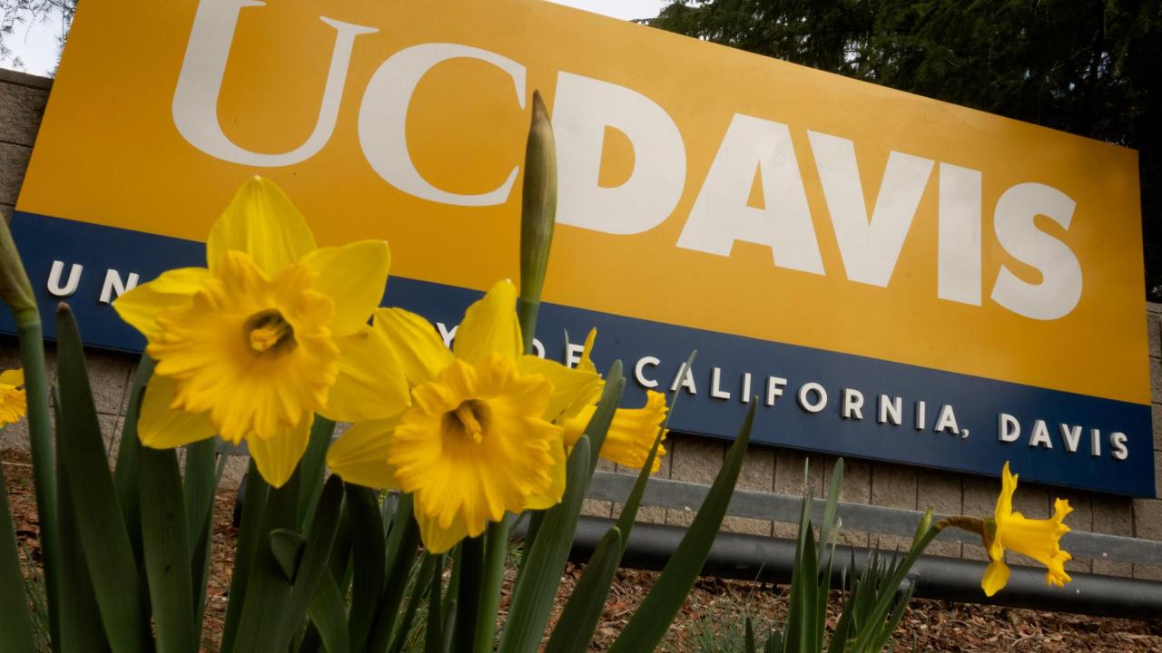 A Message From the Dean - February 2021 | College of Agricultural and ...