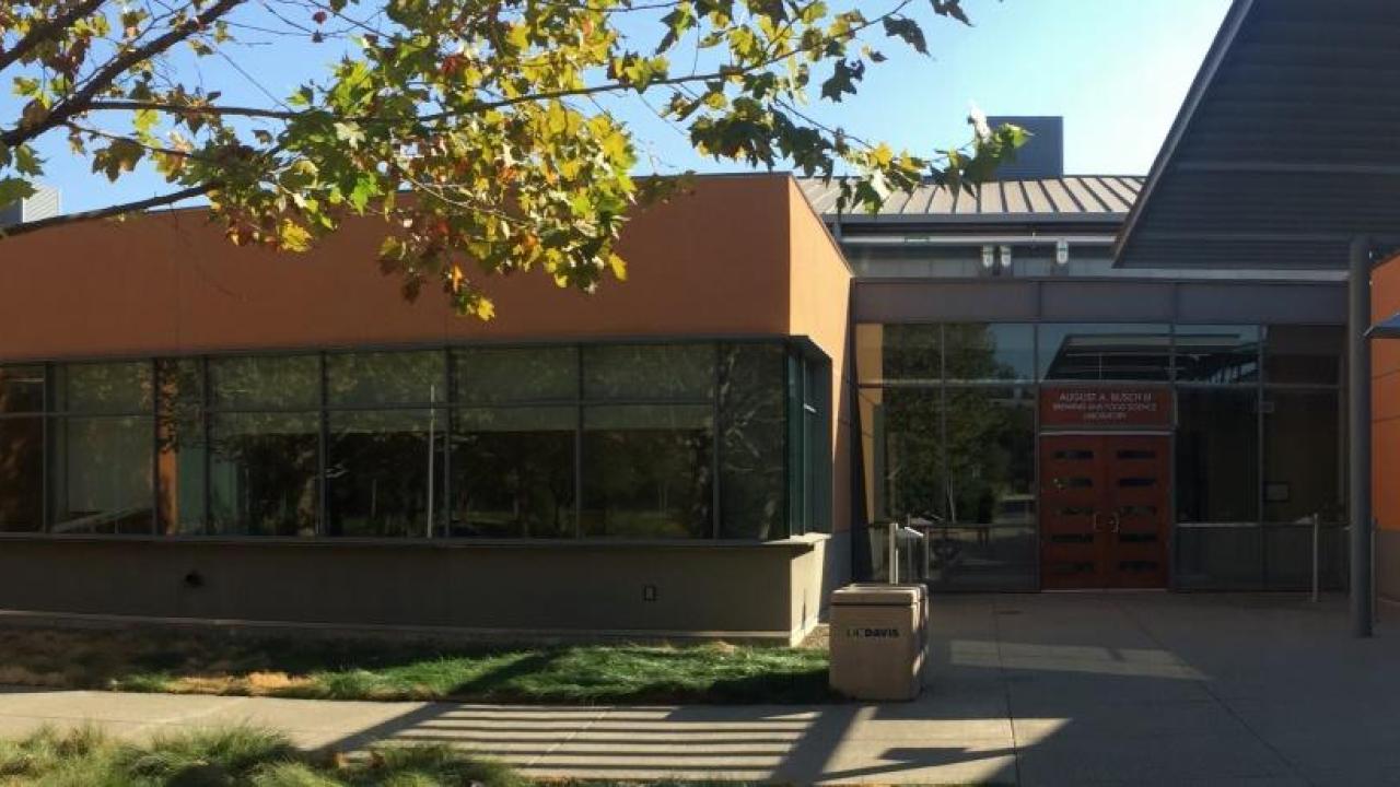 August A. Busch III Brewing and Food Science Laboratory | College of ...